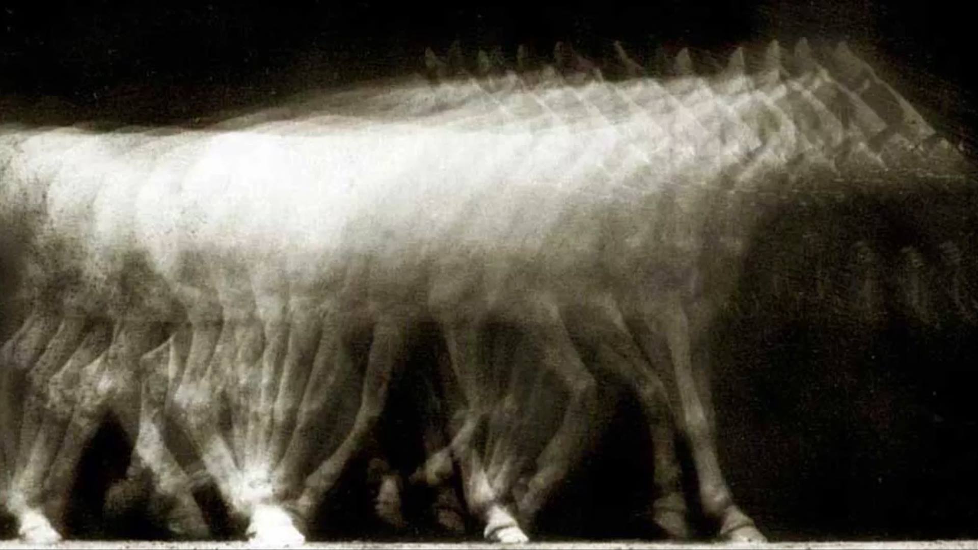 Podcast: UW Cinematheque's adventures in 3-D – Tone Madison