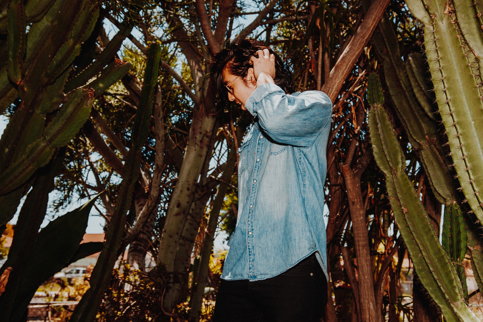 Trent Prall explains the troughs and peaks of Kainalu songs – Tone Madison