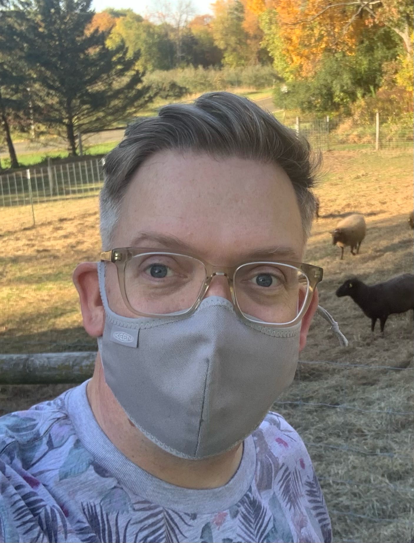 Butter where butter shouldn't be – Tone Madison