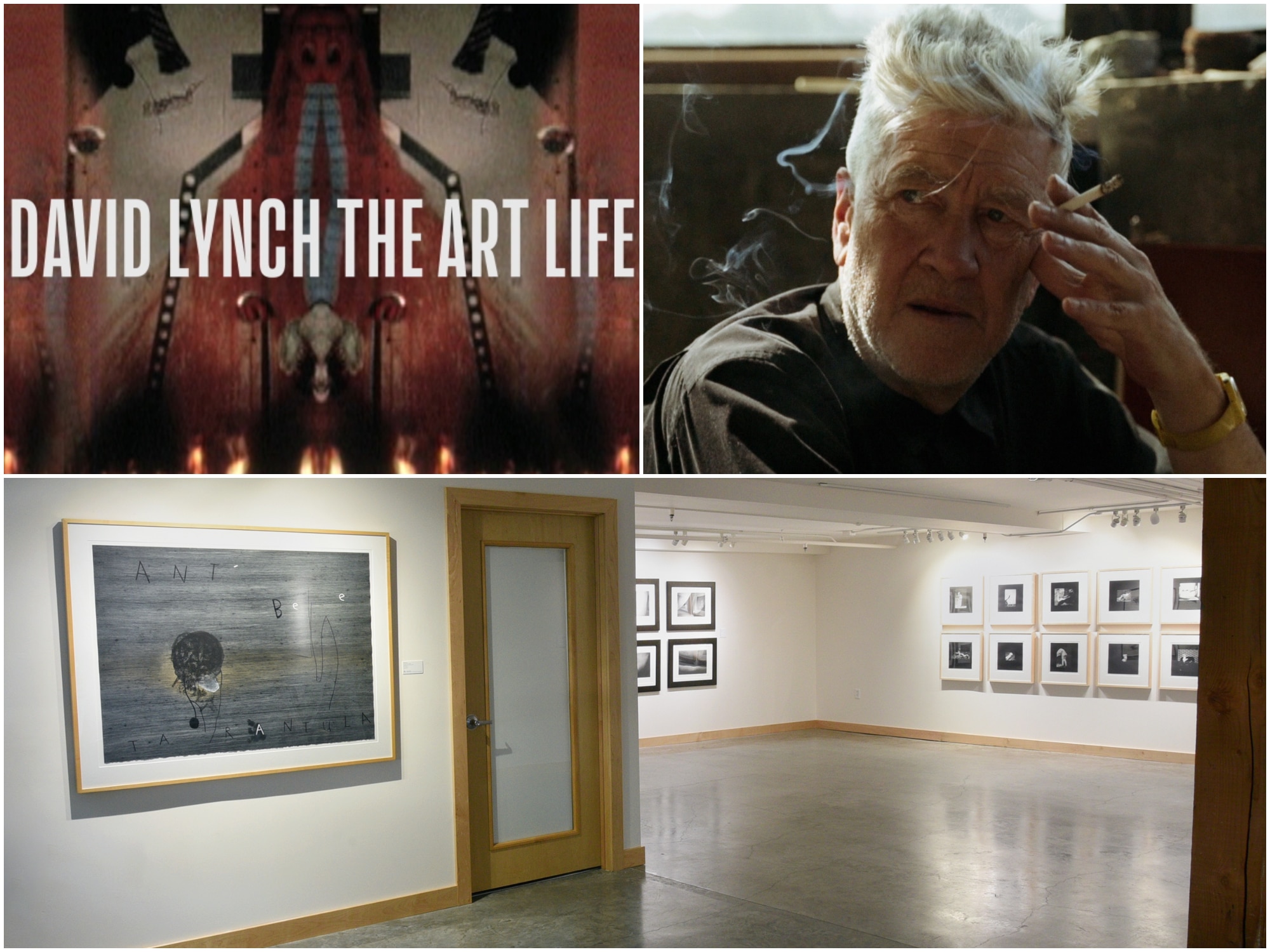 The art life of David Lynch in Madison – Tone Madison
