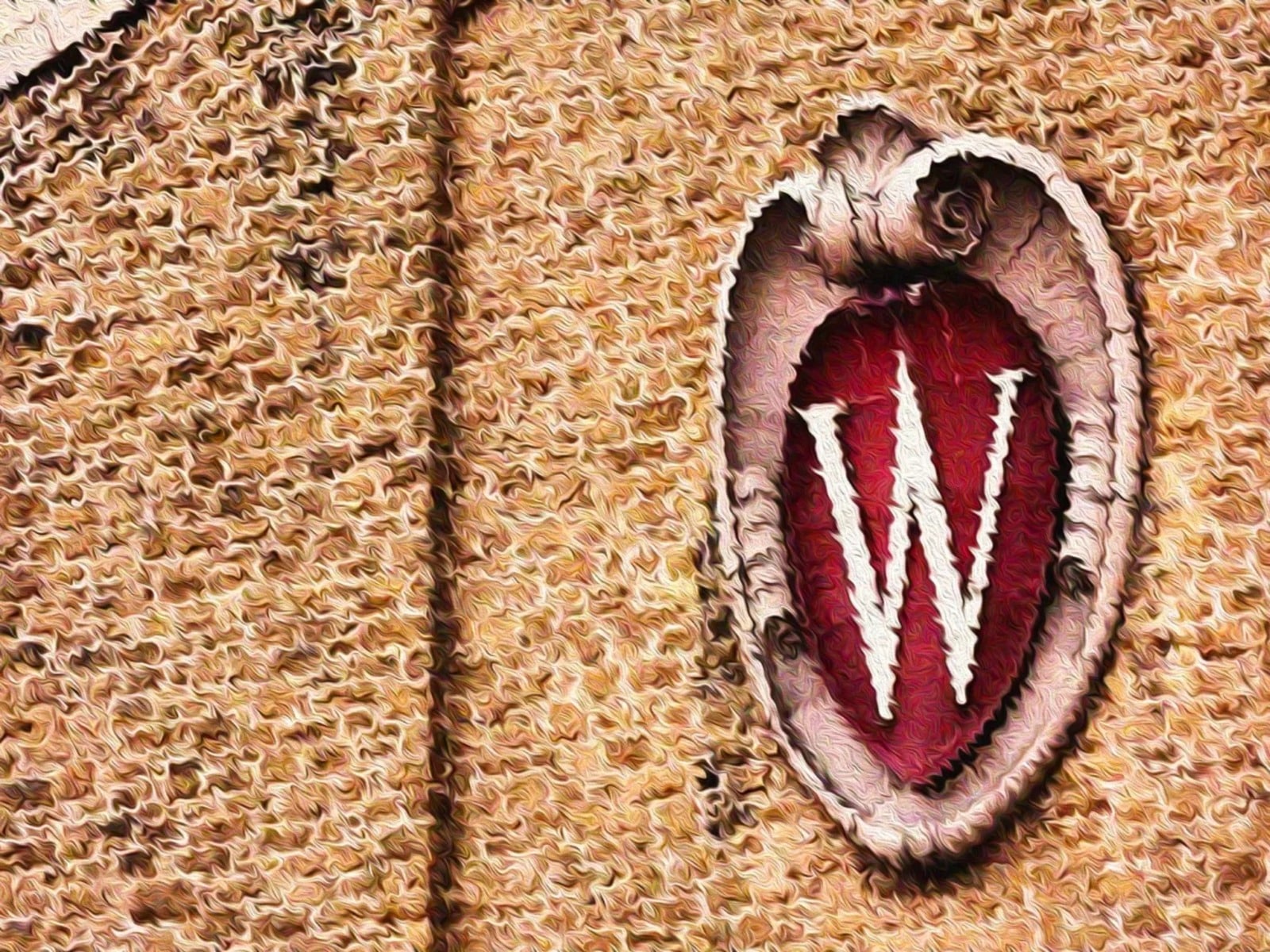 A leftist critique of top-heavy public institutions – Tone Madison